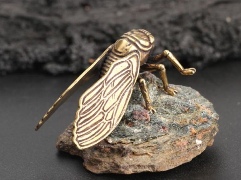 Kim Thiền là con gì? Ý nghĩa phong thủy của Kim Thiền là gì