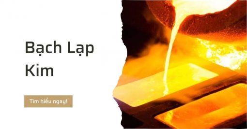 Bình giải mệnh Bạch Lạp Kim và tư vấn phong thủy hợp mệnh này