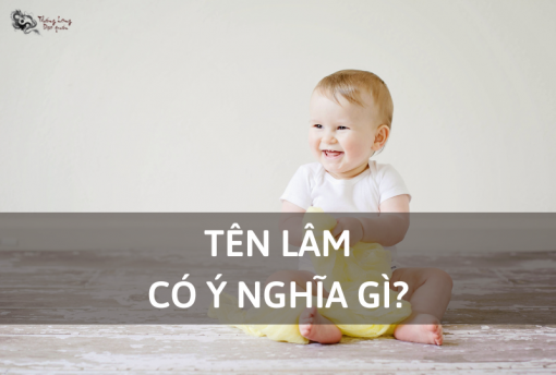 Tên Lâm có ý nghĩa gì? #3 đặc trưng tính cách người tên Lâm