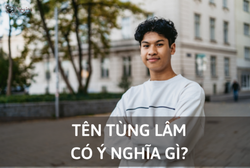 Ý nghĩa tên Tùng Lâm là gì? #7 tên Lâm hay, ý nghĩa nhất năm 2023